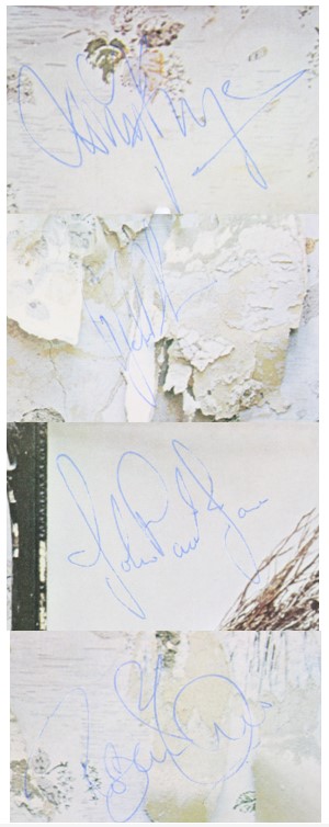 A Whole Lotta Signatures